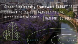 Webinars Archive - ICLEI