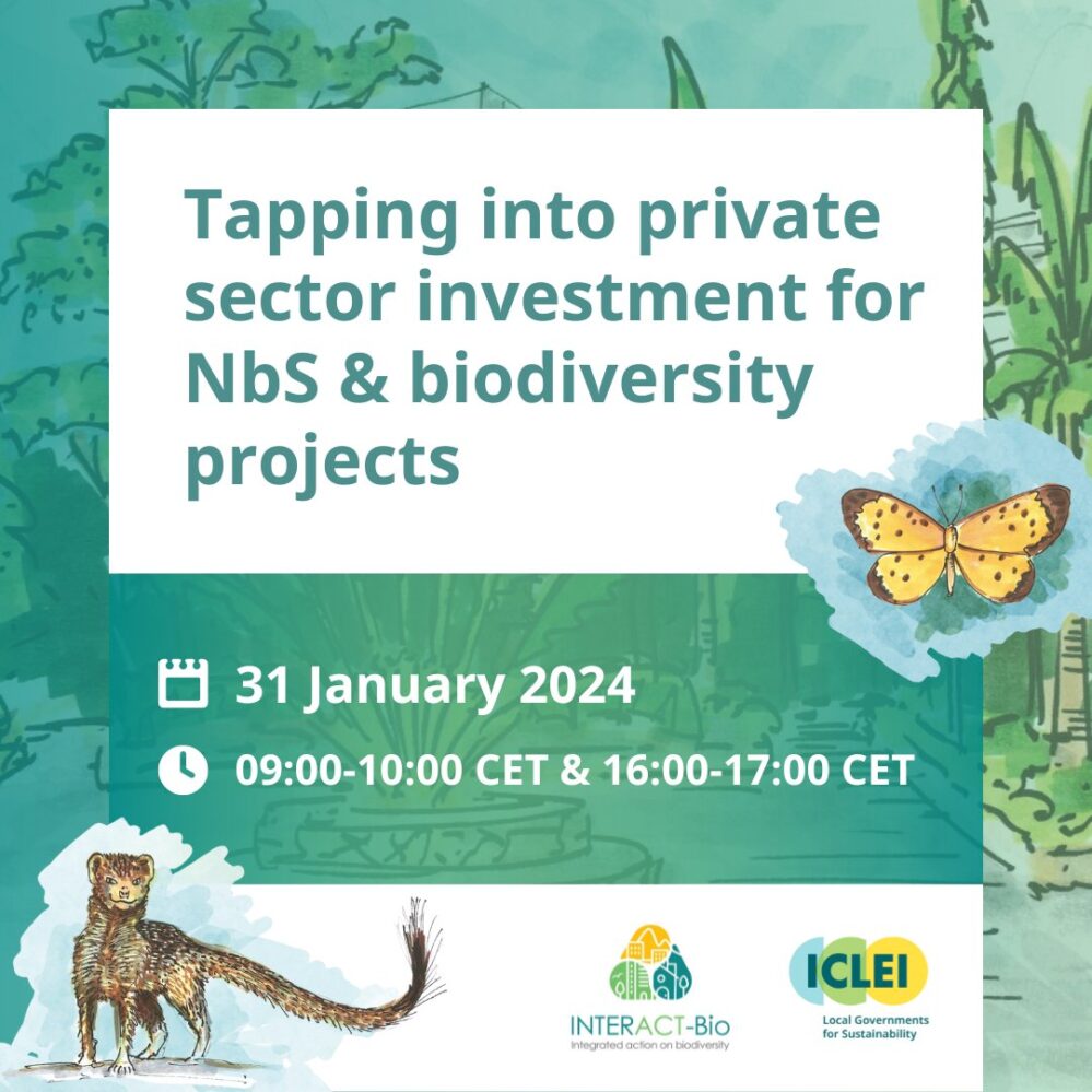 Webinars Archive - ICLEI