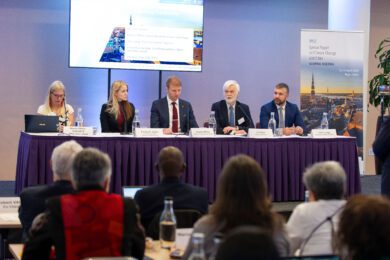 ICLEI - Local Governments for Sustainability