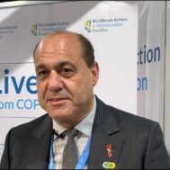 ICLEI - Local Governments for Sustainability