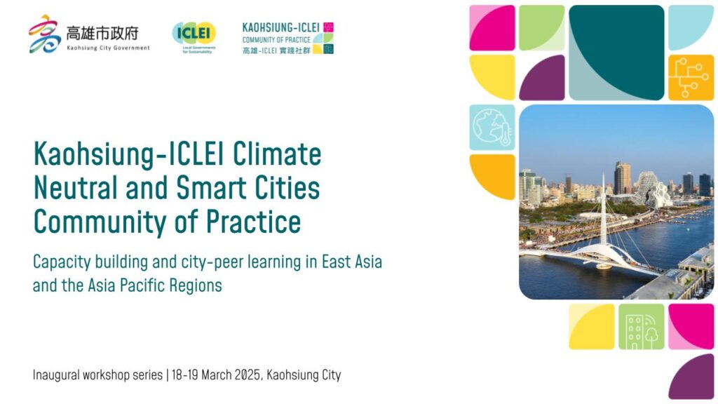 ICLEI - Local Governments for Sustainability